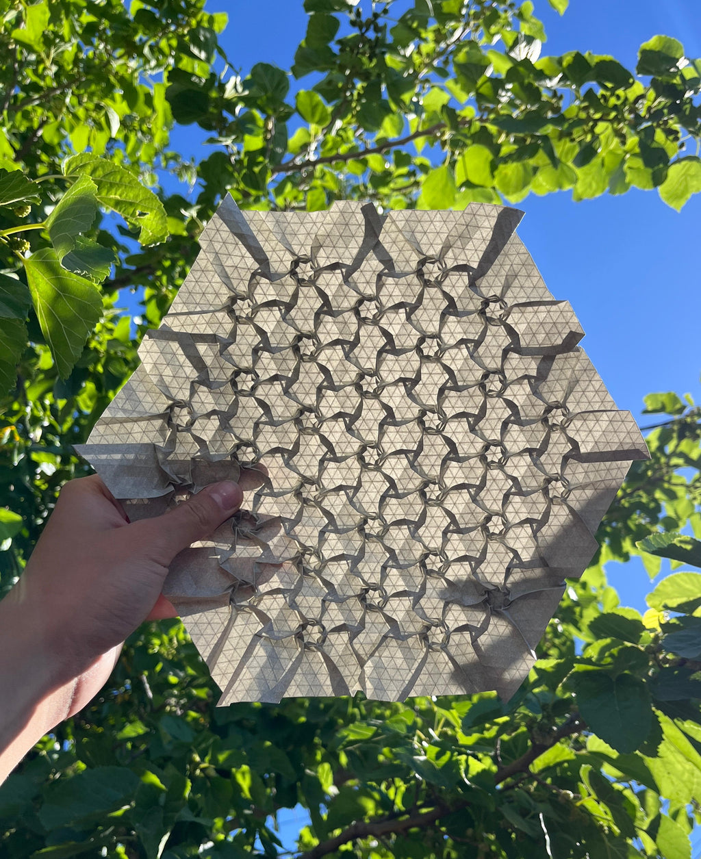 PDF Crowns Tessellation Crease Pattern 64 Division Grid – Angeline ...